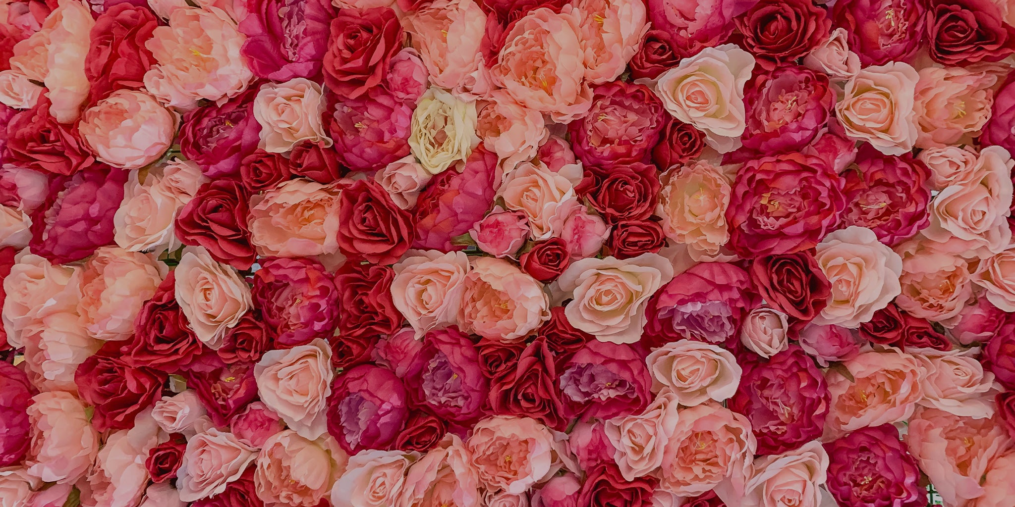 Kitanim Boston Fresh Flowers & Events