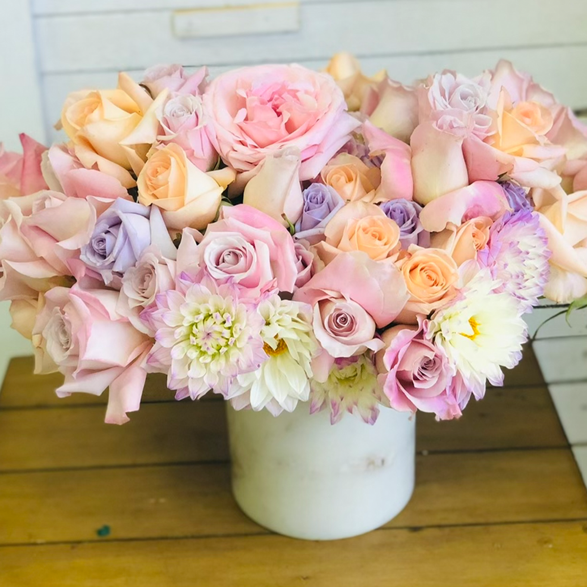 Pretty Pastel – Kitanim Boston